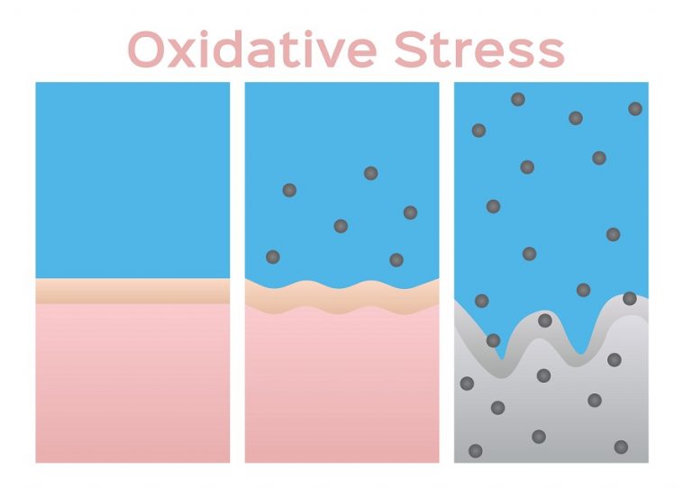Radicali liberi, cosa sono e perché contrastarli? | Trucchi.tv
