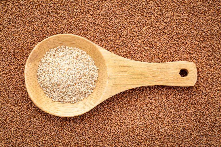 TEFF | Proprietà e benefici di questo antico cereale